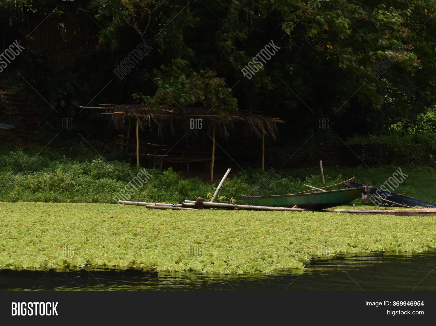 Riverside Landscape Image & Photo (Free Trial) | Bigstock