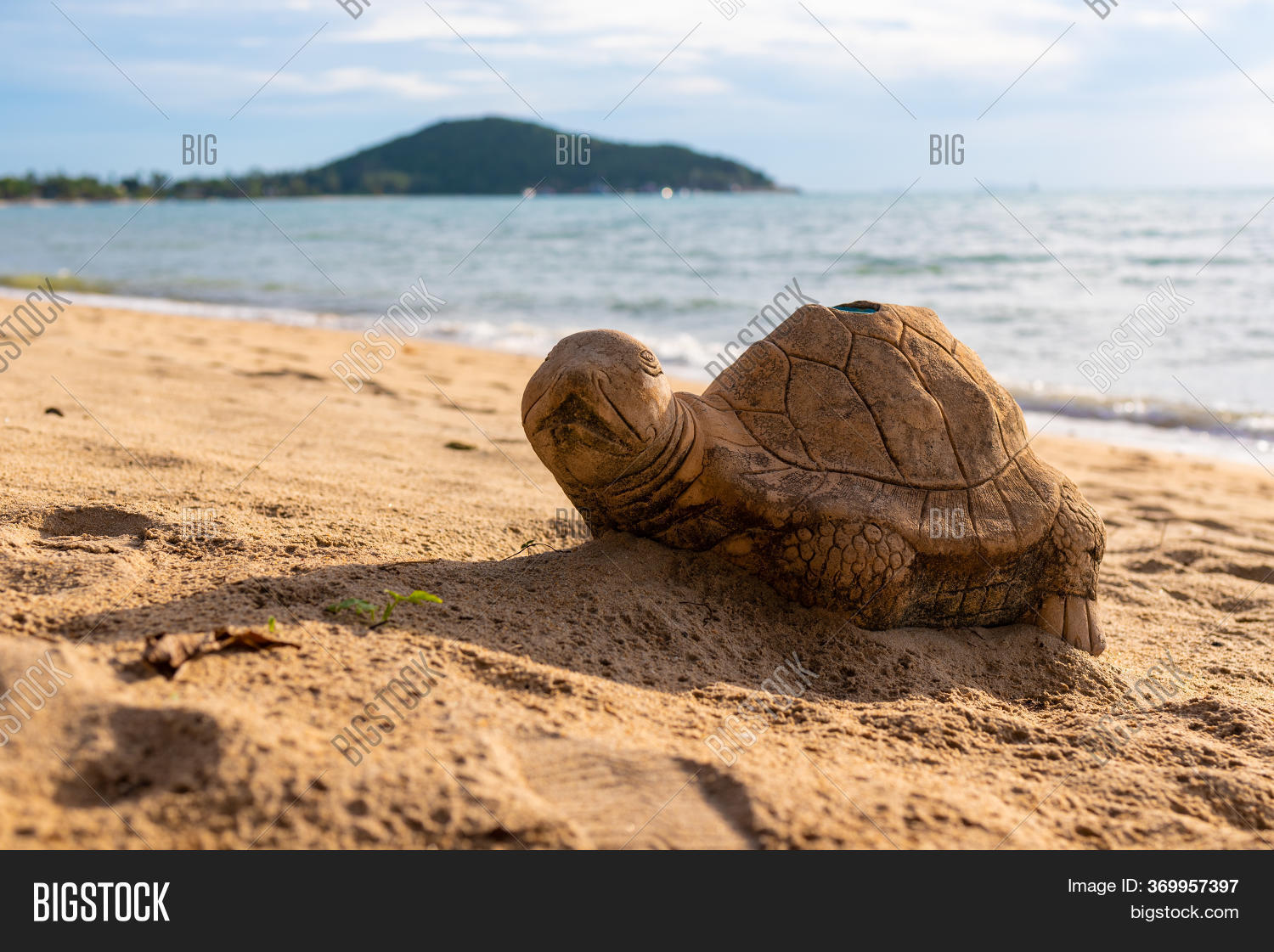 Turtle On Beach On Koh Image & Photo (Free Trial) | Bigstock