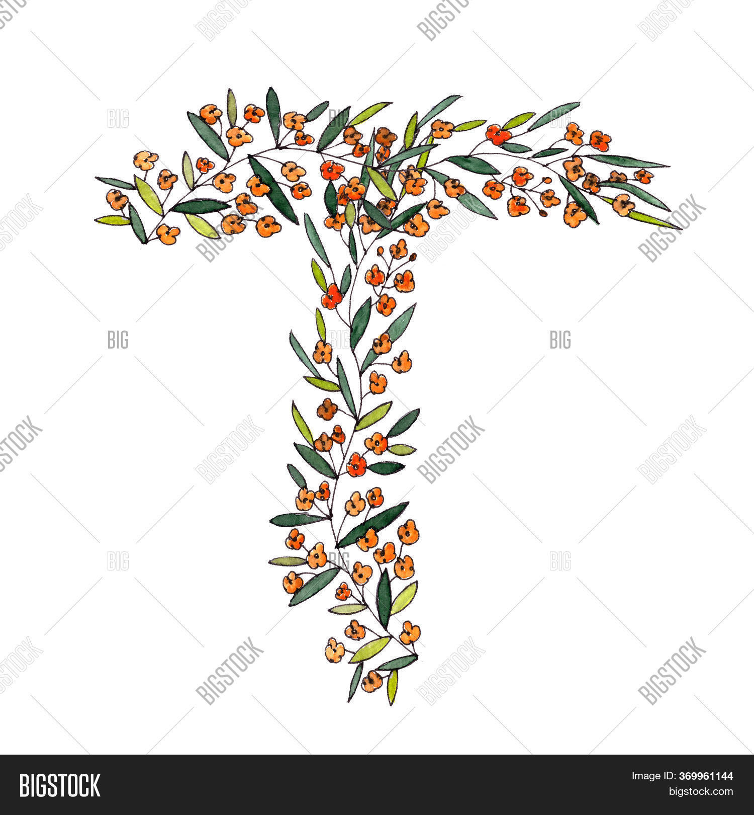 Letter T English Latin Image & Photo (Free Trial) | Bigstock