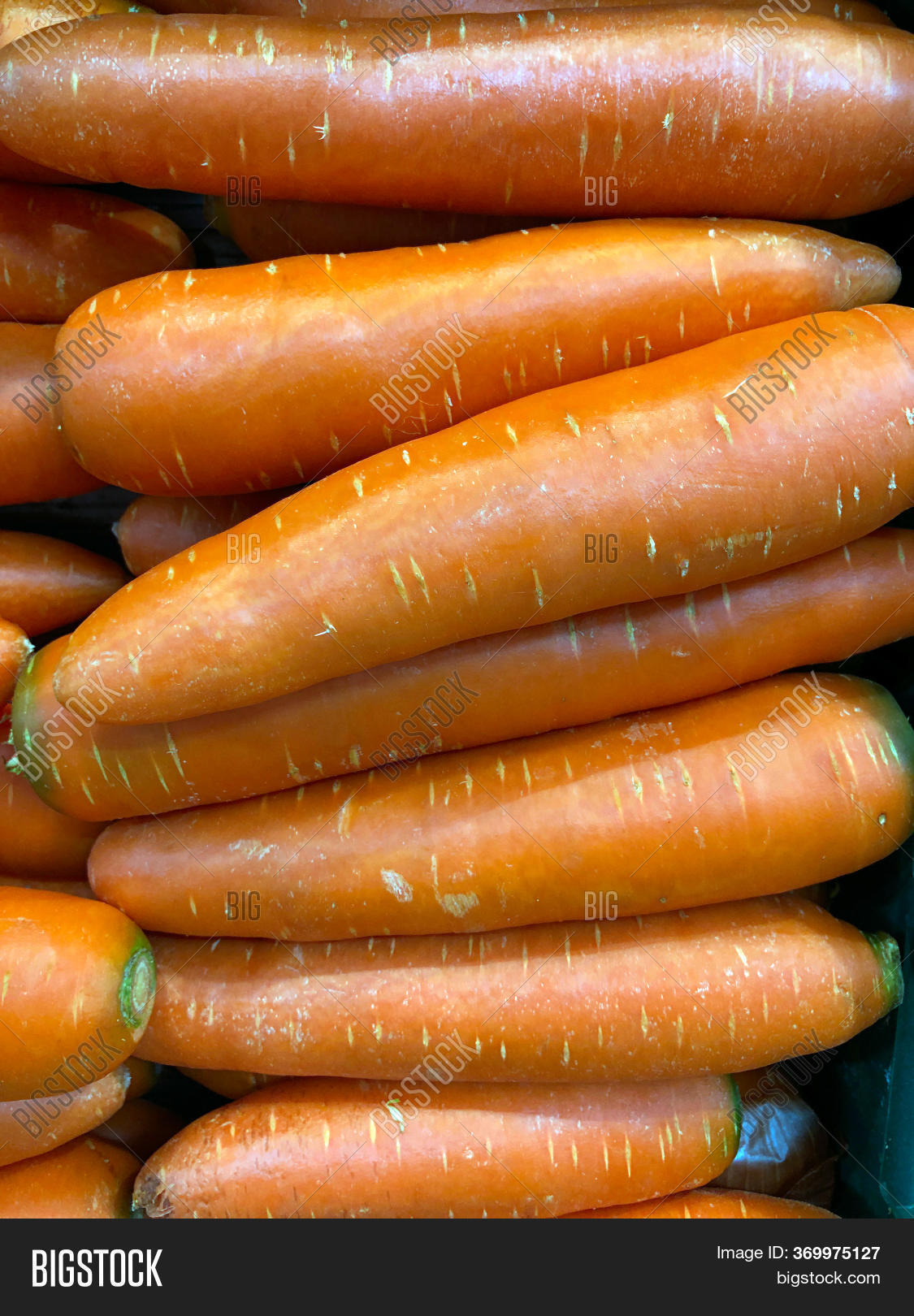 Photo Carrots On Many Image & Photo (Free Trial) | Bigstock