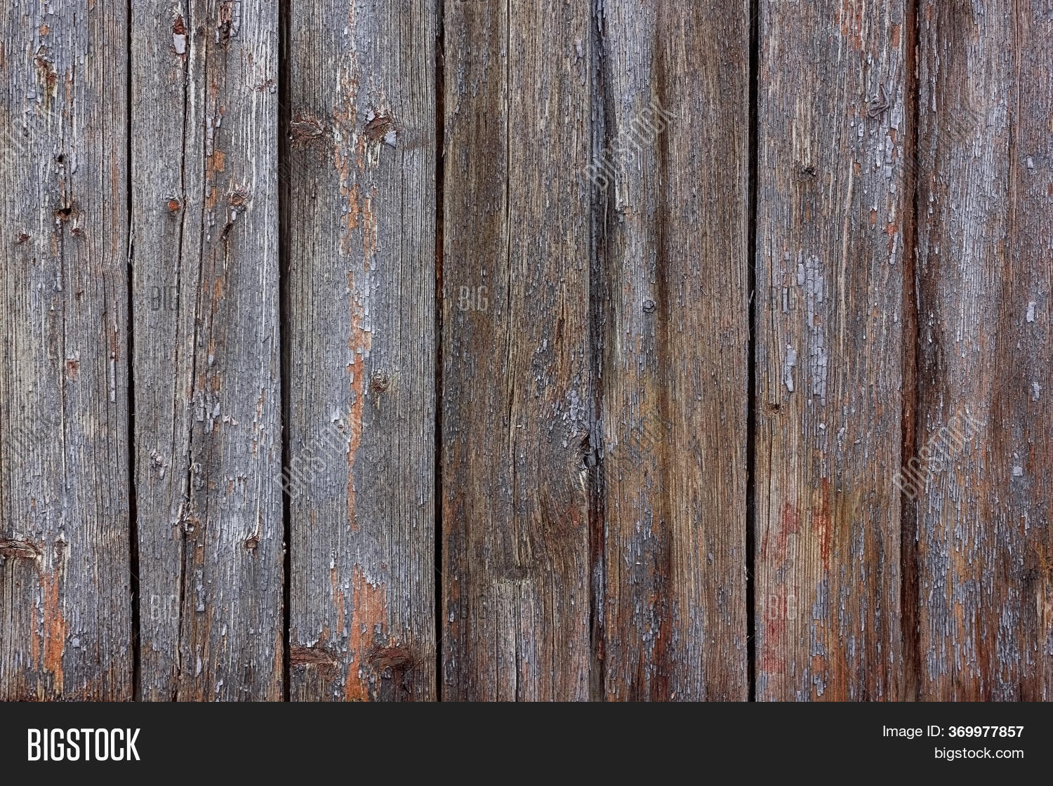 Texture Wooden Shield Image & Photo (Free Trial) | Bigstock