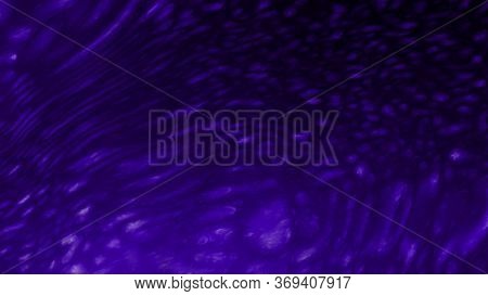 Purple Poison Swamp Image & Photo (Free Trial) | Bigstock