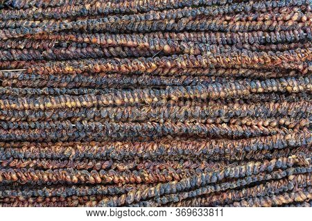 Dried Clams On Wooden Image & Photo (Free Trial) | Bigstock