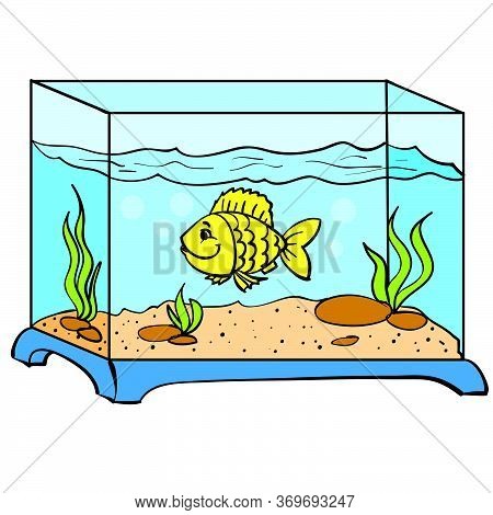 Square Blue Aquarium Vector & Photo (Free Trial) | Bigstock