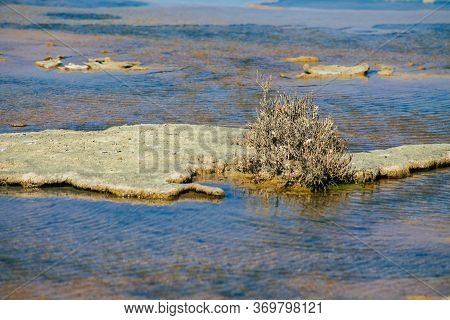 Limassol Cyprus June Image & Photo (Free Trial) | Bigstock