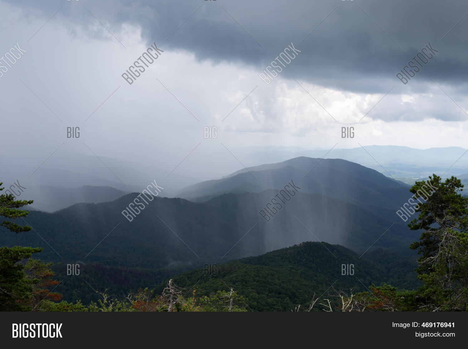 Sheets Rain Falling Image & Photo (Free Trial) | Bigstock