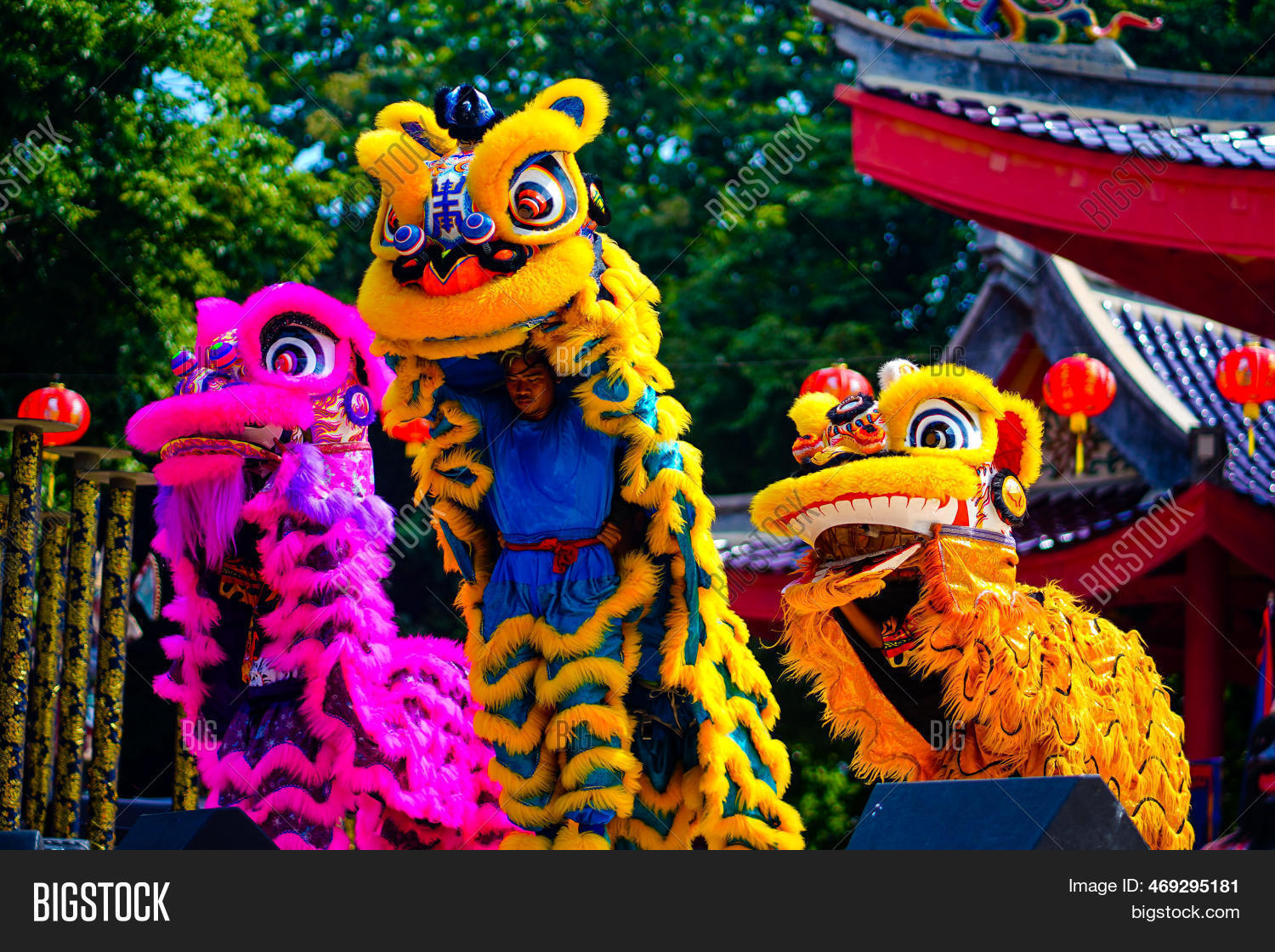 Lion Dance Barongsai Image & Photo (Free Trial) | Bigstock