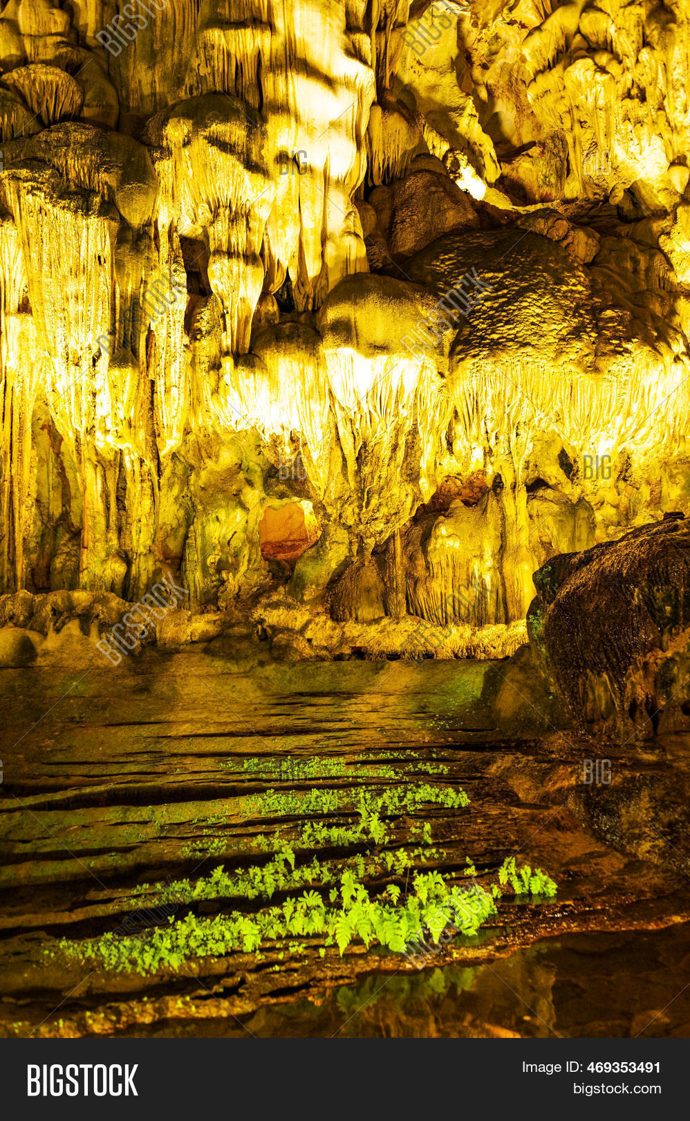 Dau Go Cave On Dau Go Image & Photo (Free Trial) | Bigstock