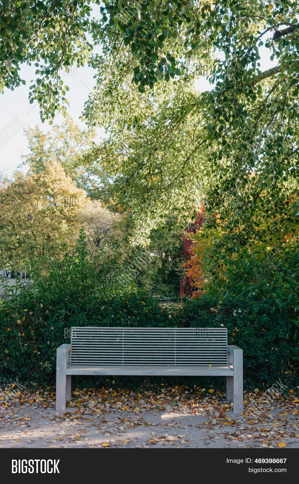 White Park Bench Stone Image & Photo (Free Trial) | Bigstock
