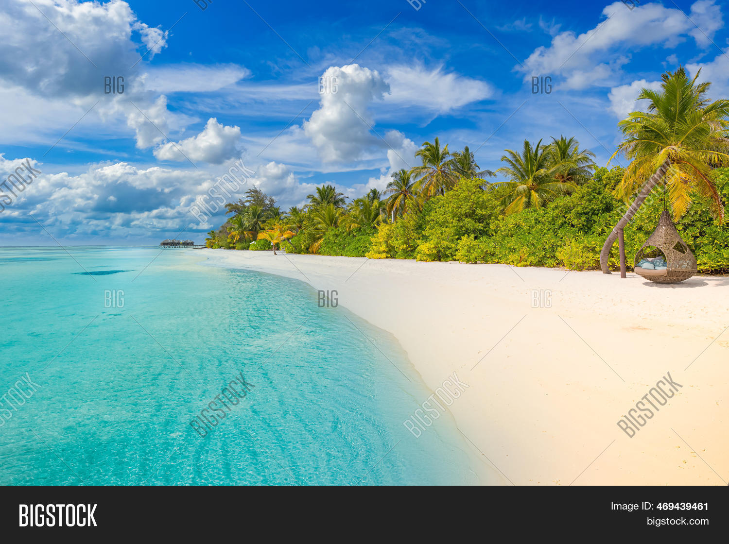 Amazing Tropical Image & Photo (Free Trial) | Bigstock