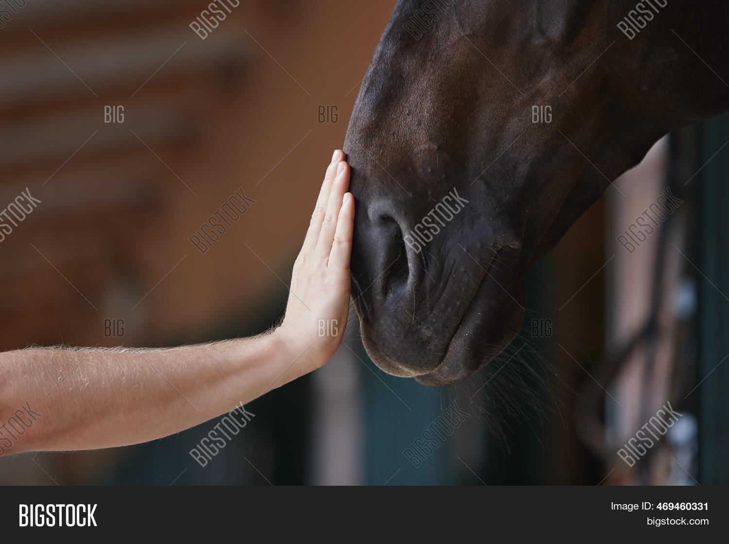 Friendship Between Man Image & Photo (Free Trial) | Bigstock