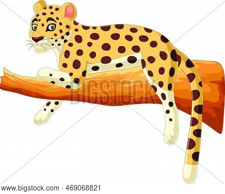 Vector Illustration Vector & Photo (Free Trial) | Bigstock