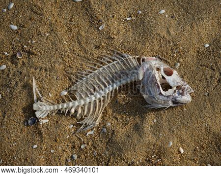 Incomplete Decomposed Image & Photo (Free Trial) | Bigstock