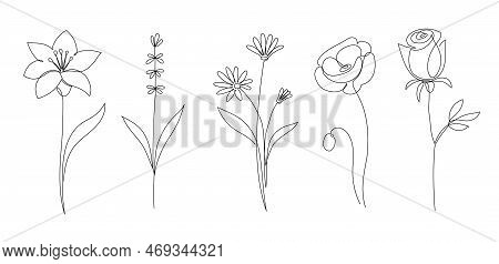 Simple Flower Outline Images, Illustrations & Vectors (Free) - Bigstock