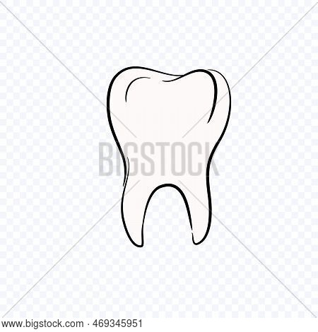Tooth Isolated. Tooth Vector & Photo (Free Trial) | Bigstock