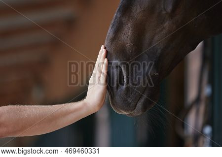 Friendship Between Man Image & Photo (Free Trial) | Bigstock