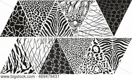 Vector Illustration Vector & Photo (Free Trial) | Bigstock