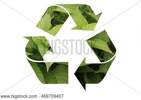 Recycling Mark. Image & Photo (Free Trial) | Bigstock