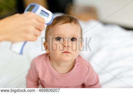 Closeup Portrait Image & Photo (Free Trial) | Bigstock