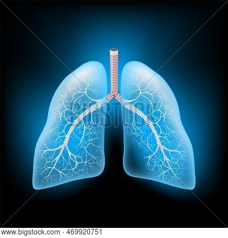 Lungs Glowing Effect Vector & Photo (Free Trial) | Bigstock