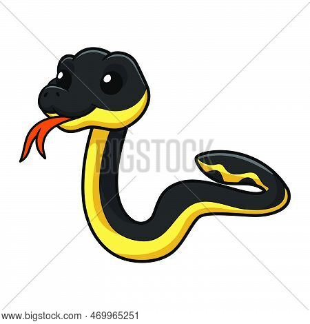 Sea Snake Clip Art
