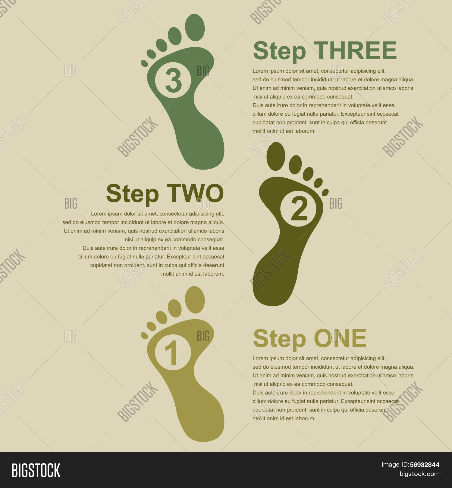 Footstep Infographic Vector & Photo (Free Trial) | Bigstock