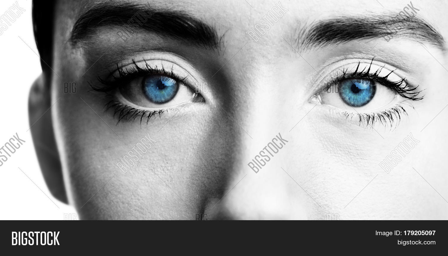 Portrait Woman 图片和照片（免费试用） | Bigstock