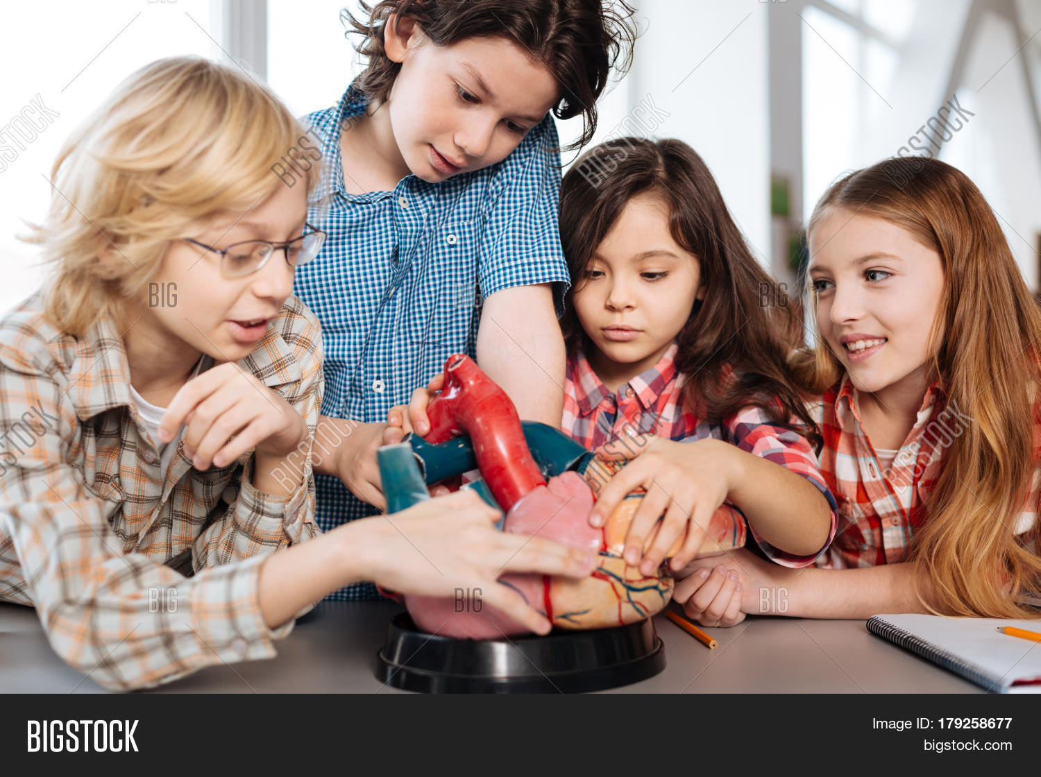 Taking Closer Look. Image & Photo (Free Trial) | Bigstock