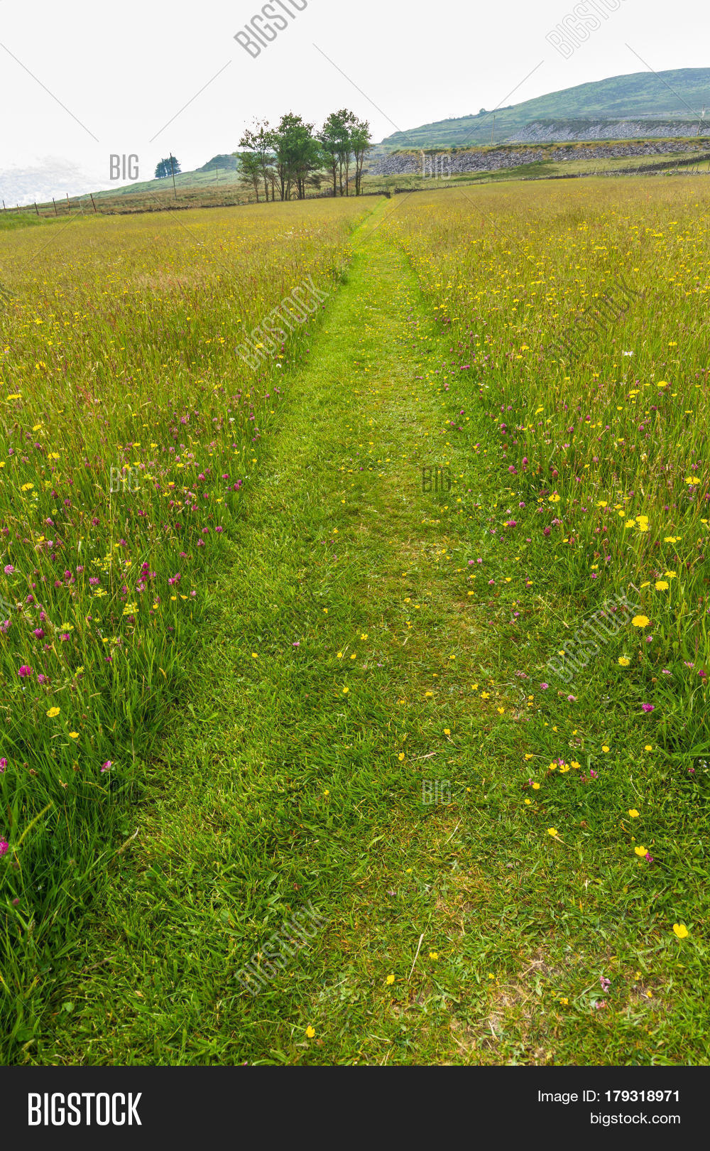 Grassy Field Footpath Image & Photo (Free Trial) | Bigstock
