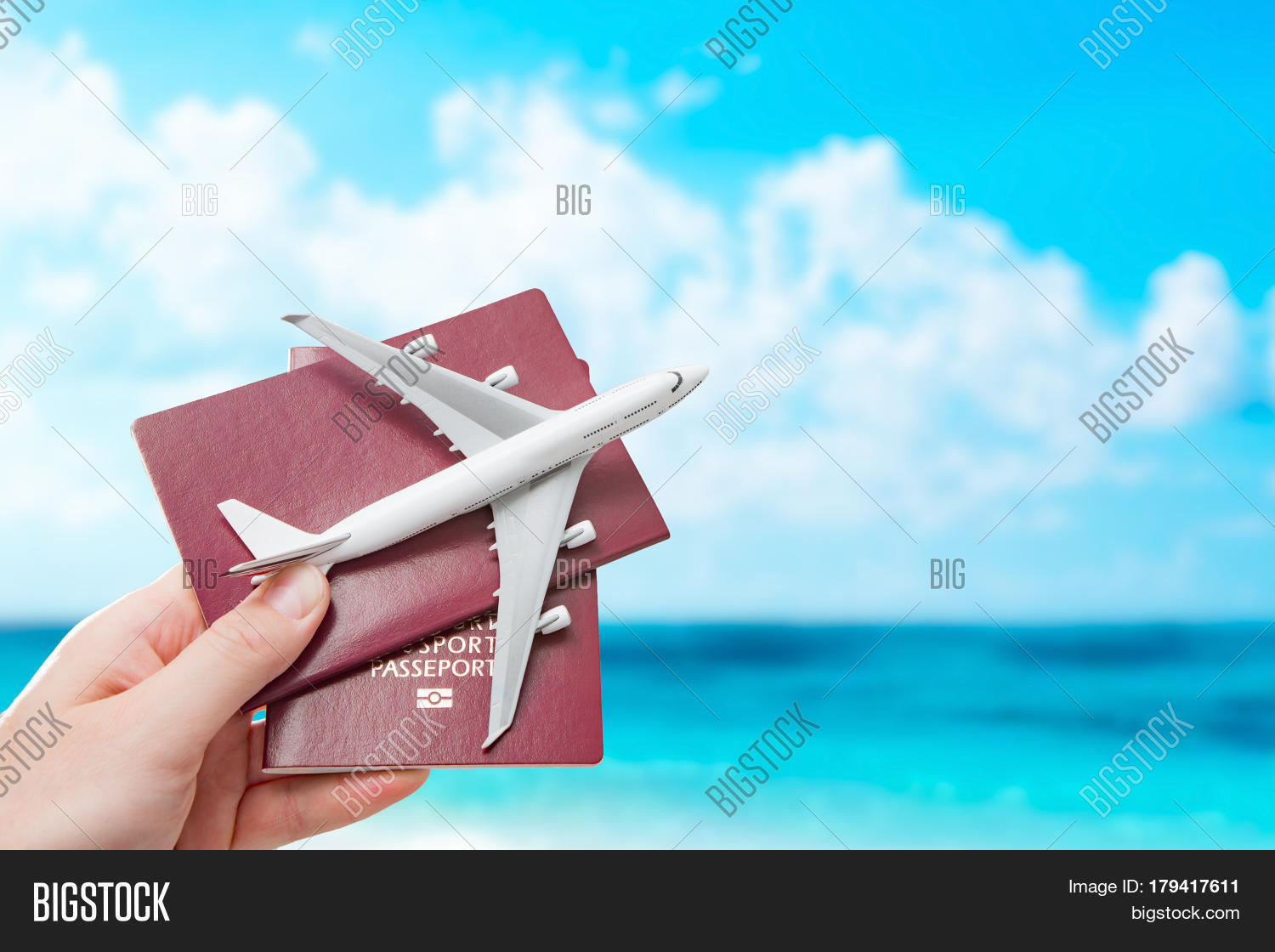 Airplane Passport Image & Photo (Free Trial) | Bigstock