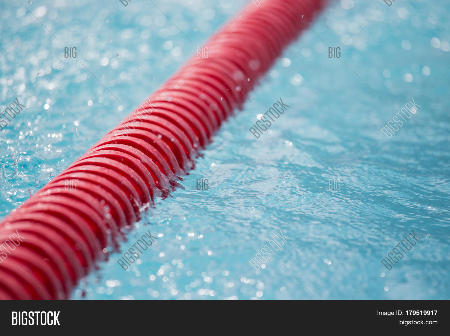 Float Lane Swimming Image & Photo (Free Trial) | Bigstock