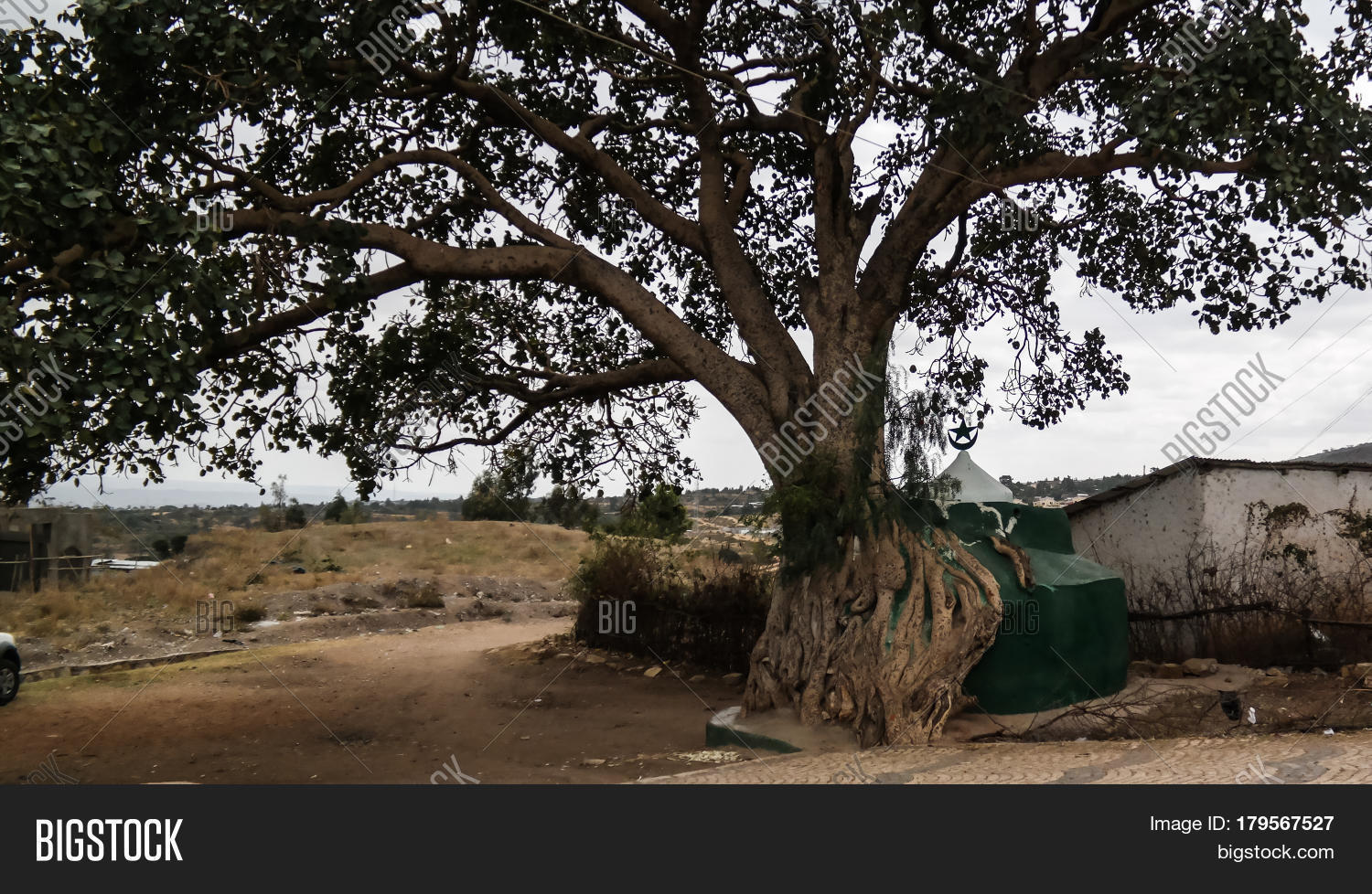 Harar Tree Mosque Image & Photo (Free Trial) | Bigstock