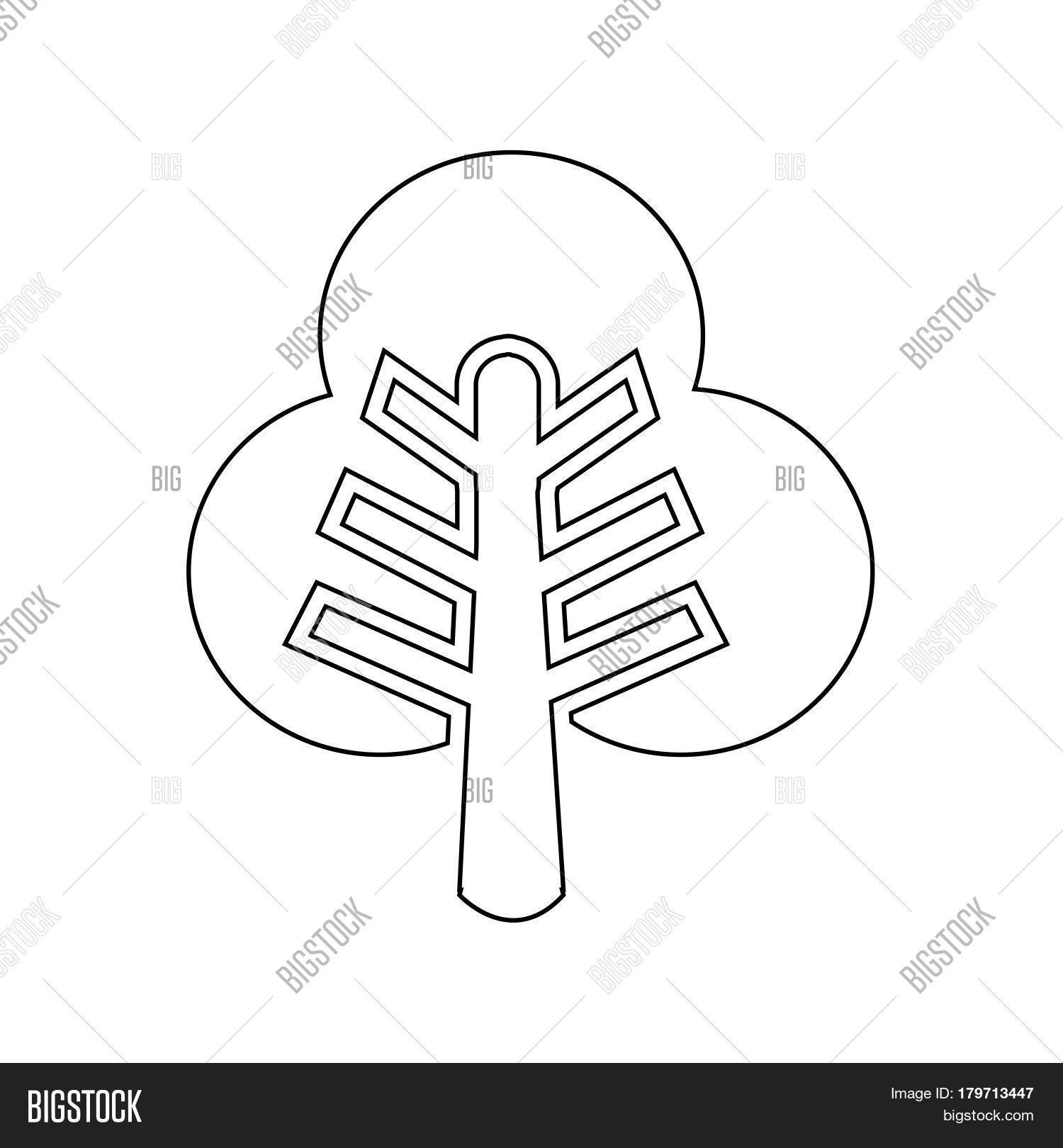 Images Pictogram Tree Vector & Photo (Free Trial) | Bigstock