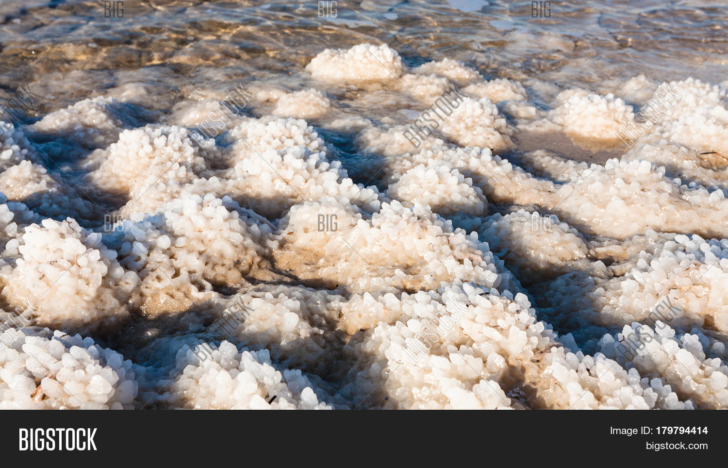 Sea Salt On Beach Dead Image & Photo (Free Trial) | Bigstock