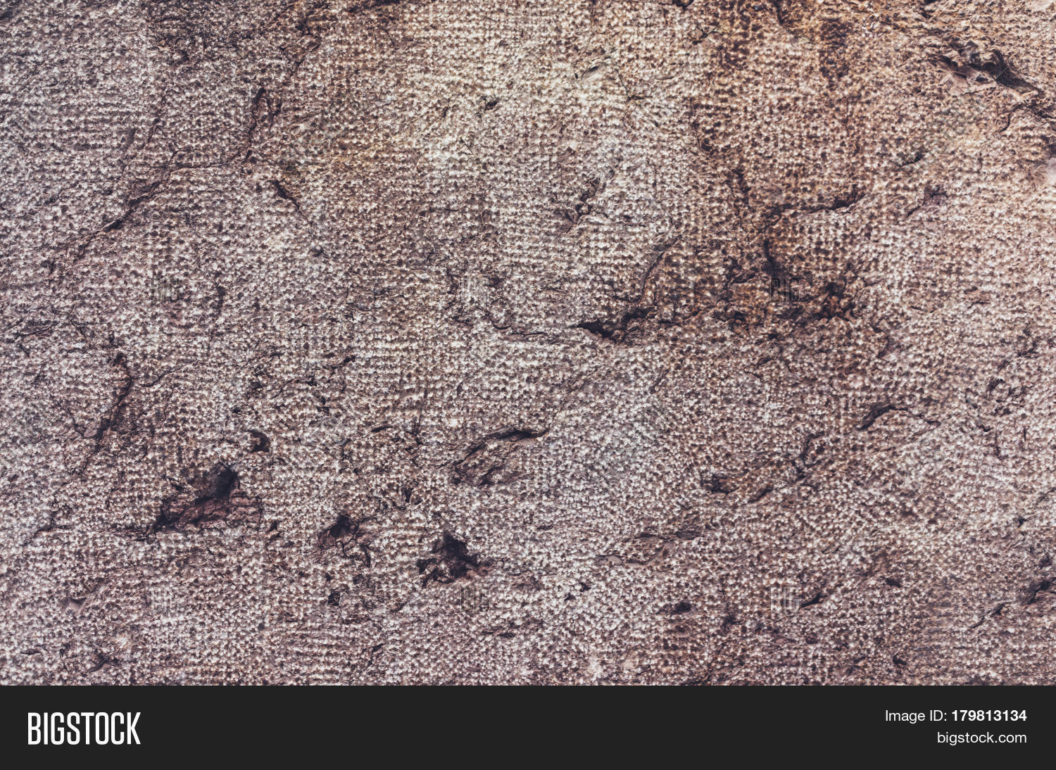 Brown Grey Background Image & Photo (Free Trial) | Bigstock