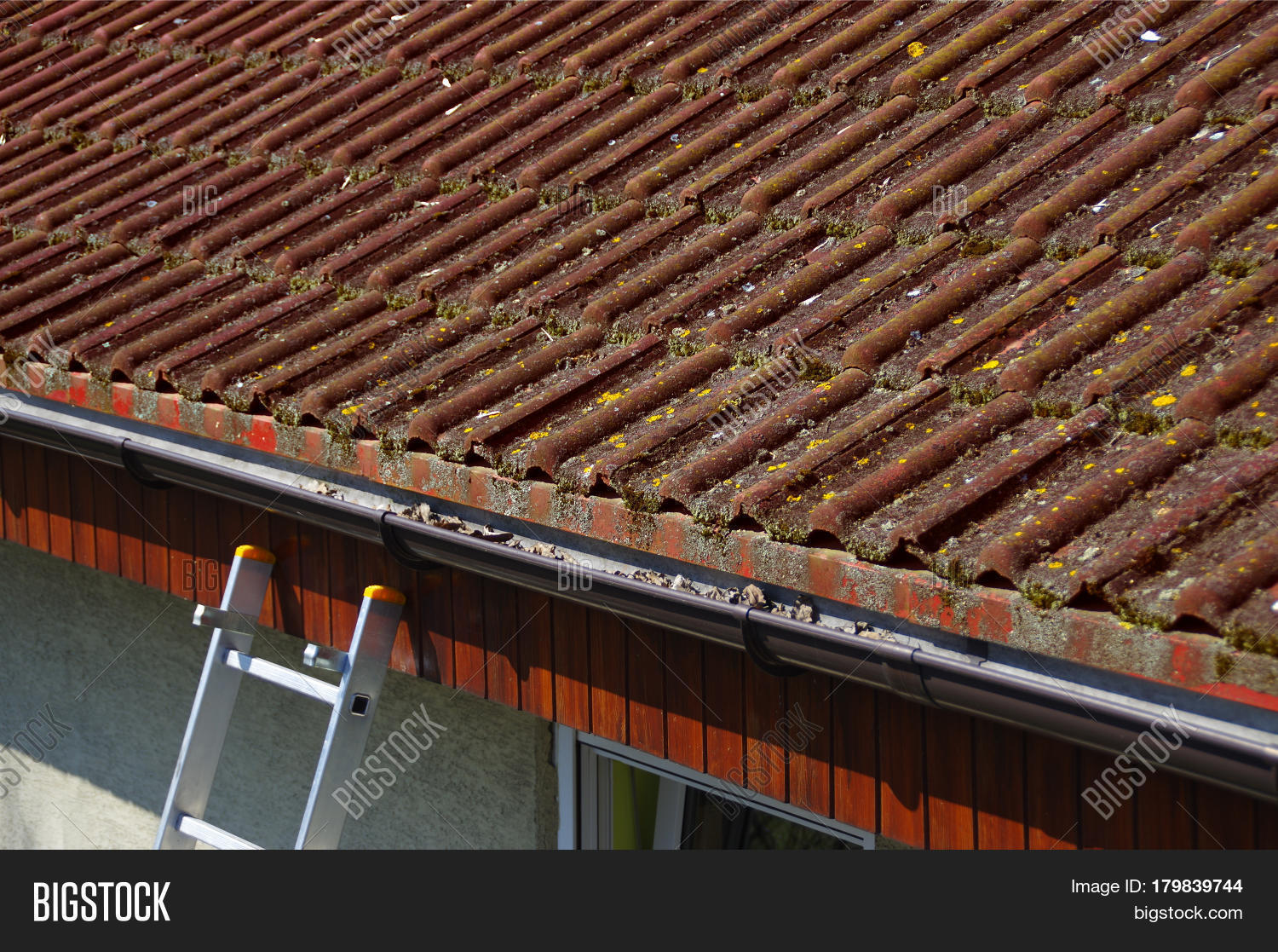 Dirty Roof Dense Moss Image & Photo (Free Trial) | Bigstock