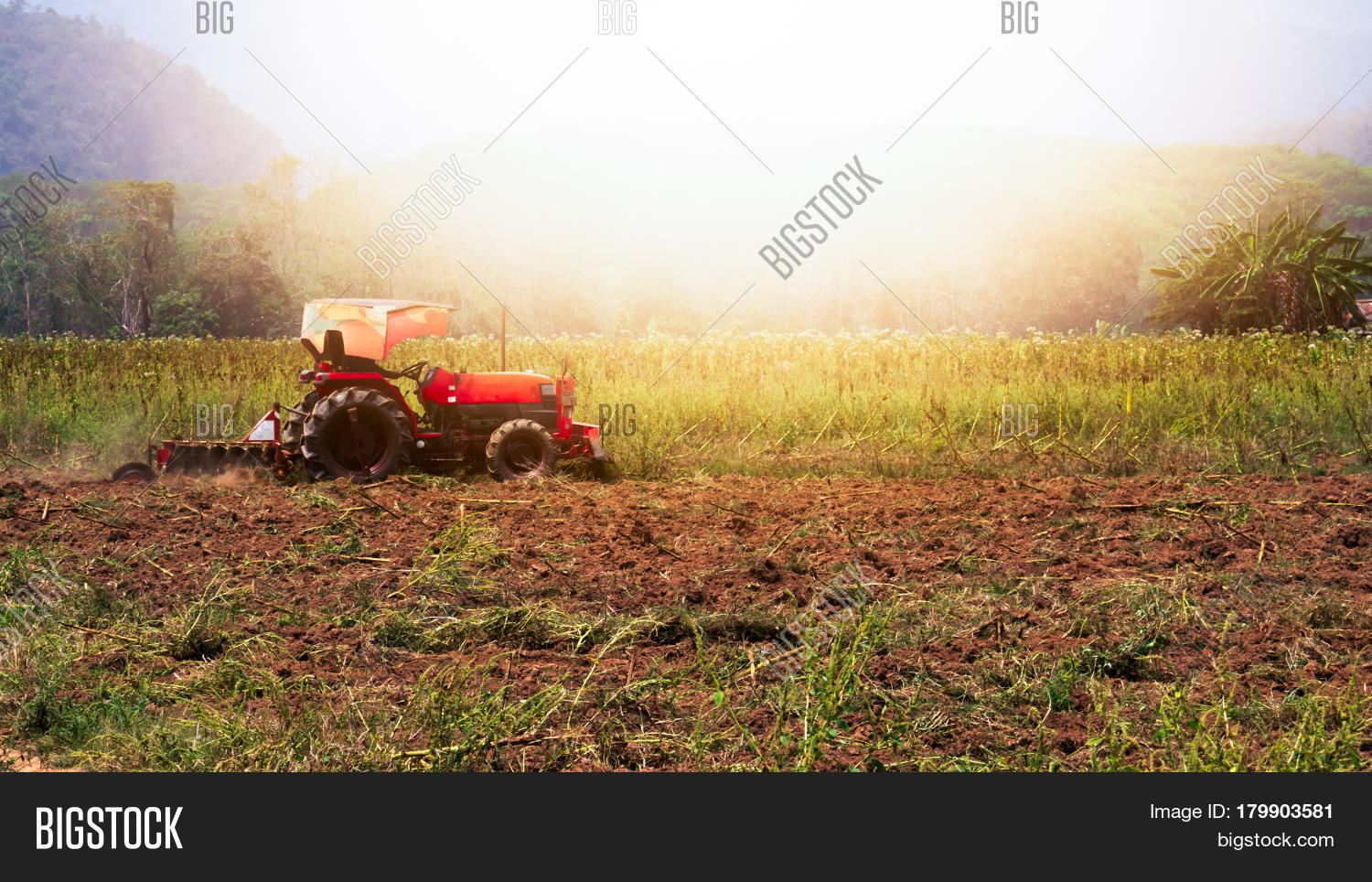 Man Ride Tractor Image & Photo (Free Trial) | Bigstock