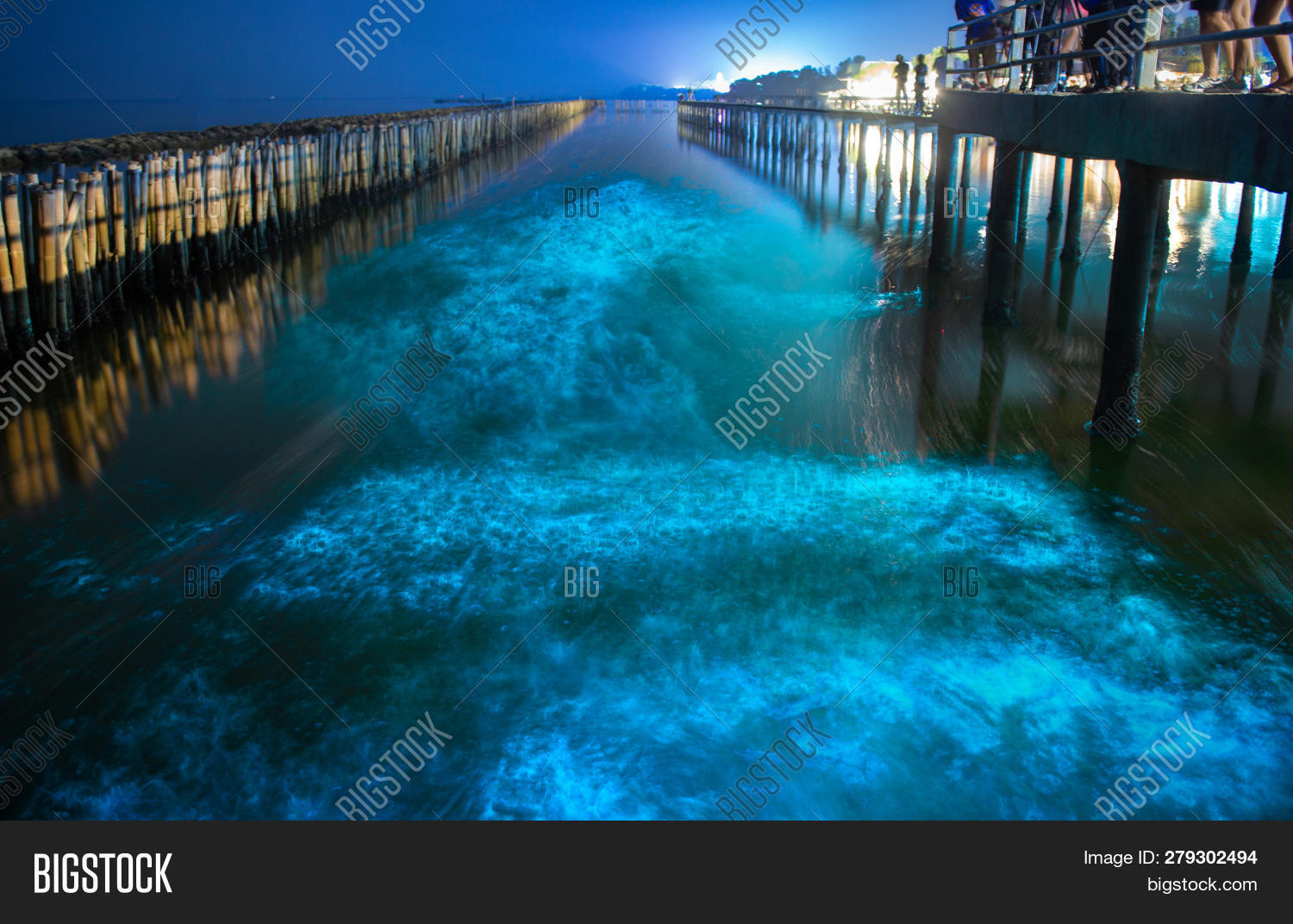 Bioluminescence Night Image & Photo (Free Trial) | Bigstock