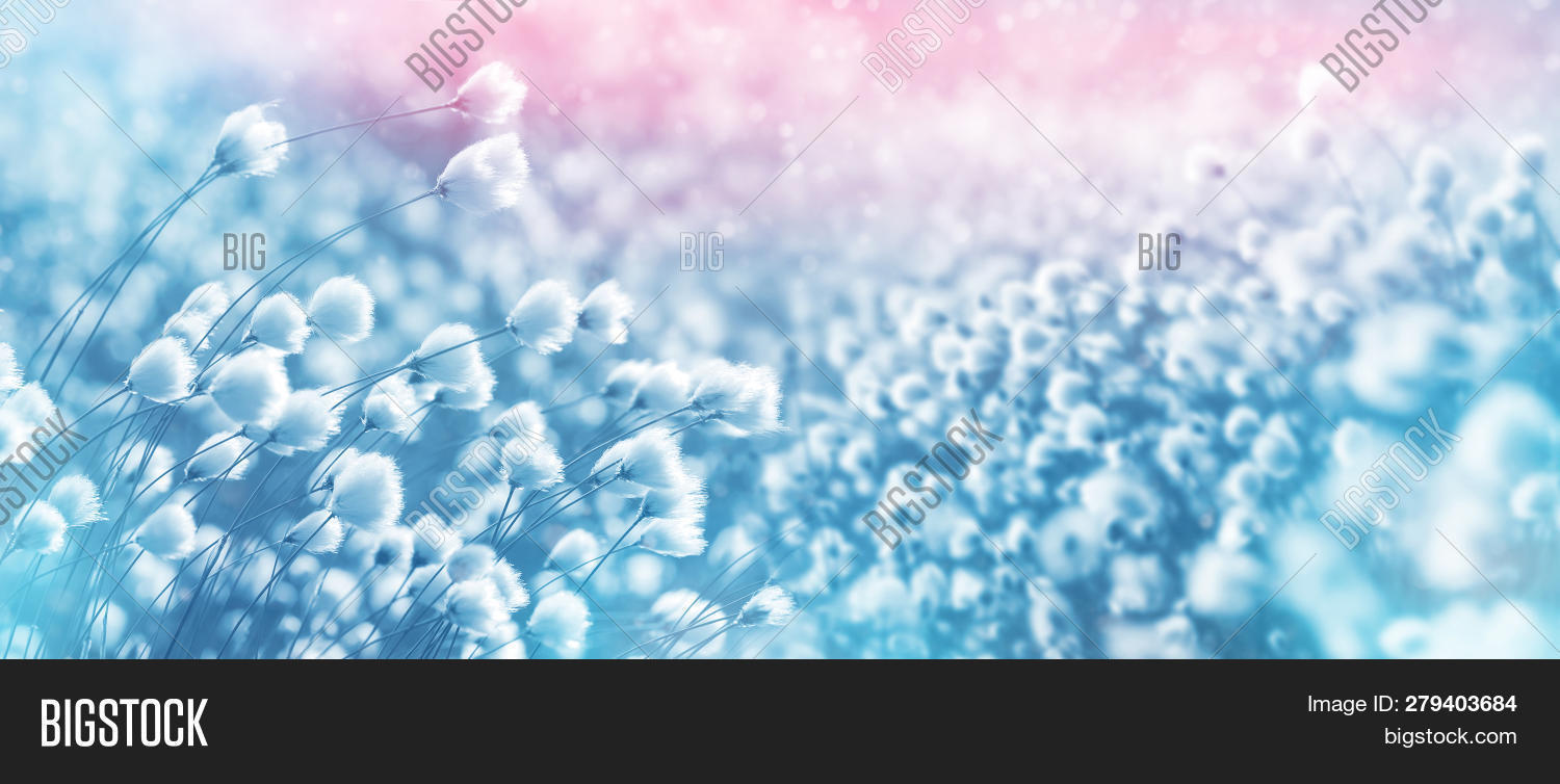 Gentle Landscape Image & Photo (Free Trial) | Bigstock