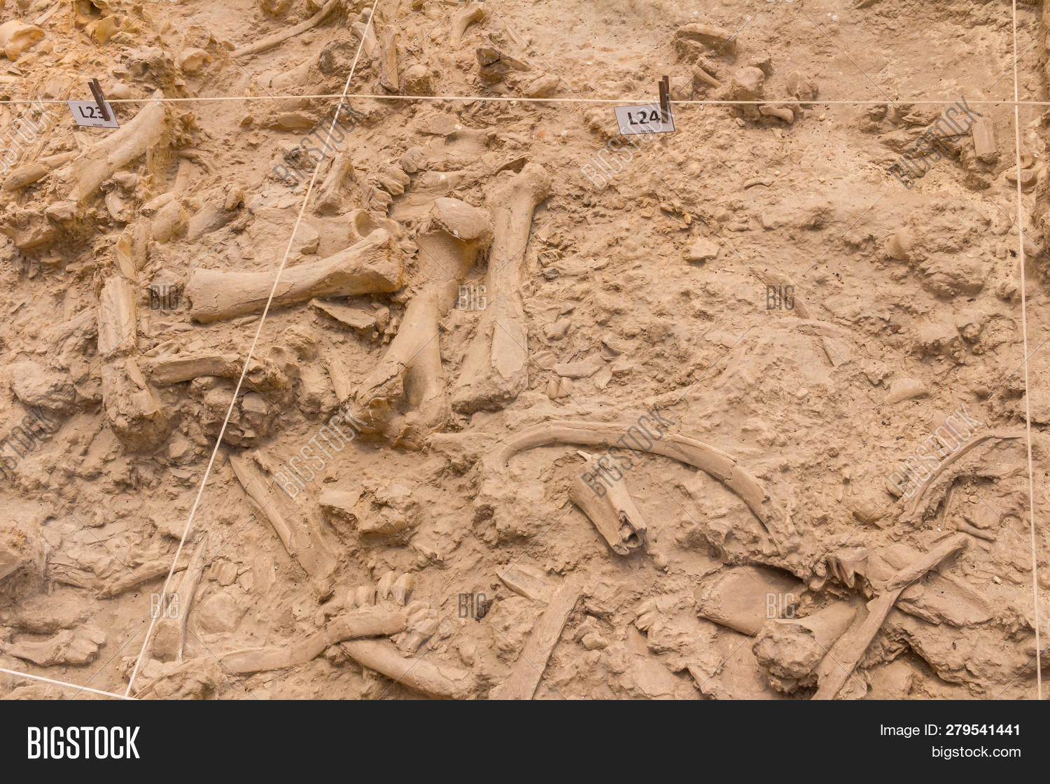 Vredenburg, West Coast Image & Photo (Free Trial) | Bigstock