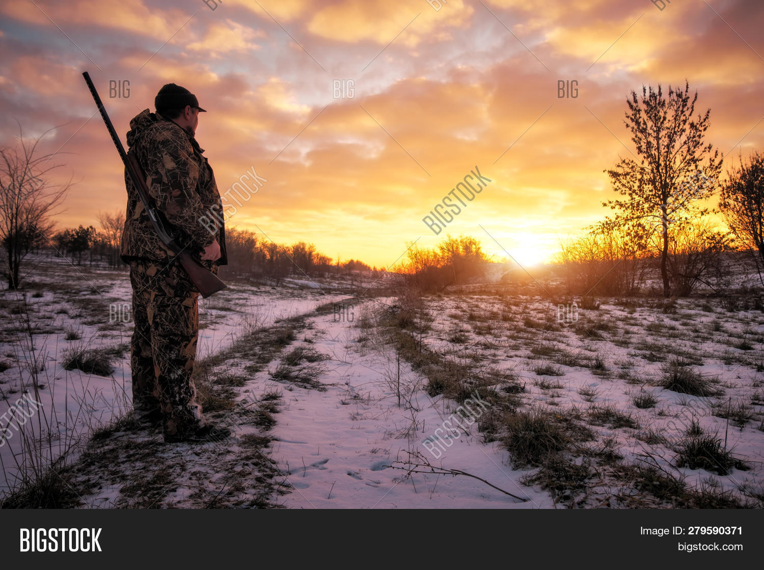 Winter Hunting Hares Image & Photo (Free Trial) | Bigstock