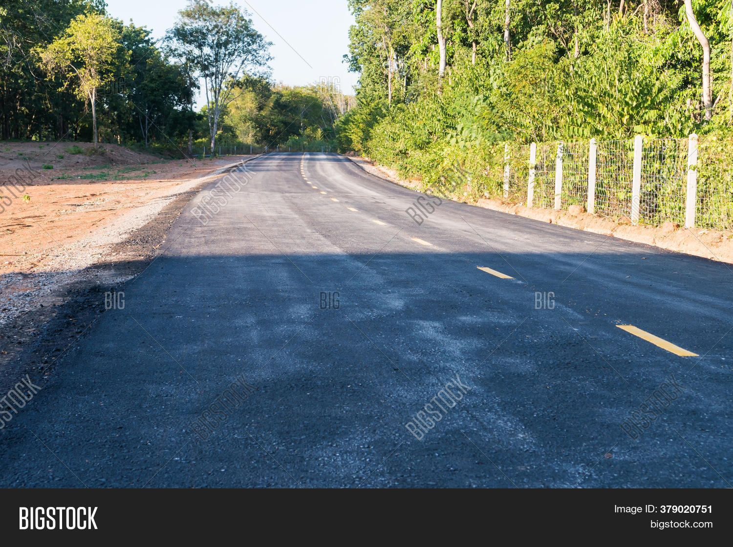 Way Park Around Tree Image & Photo (Free Trial) | Bigstock