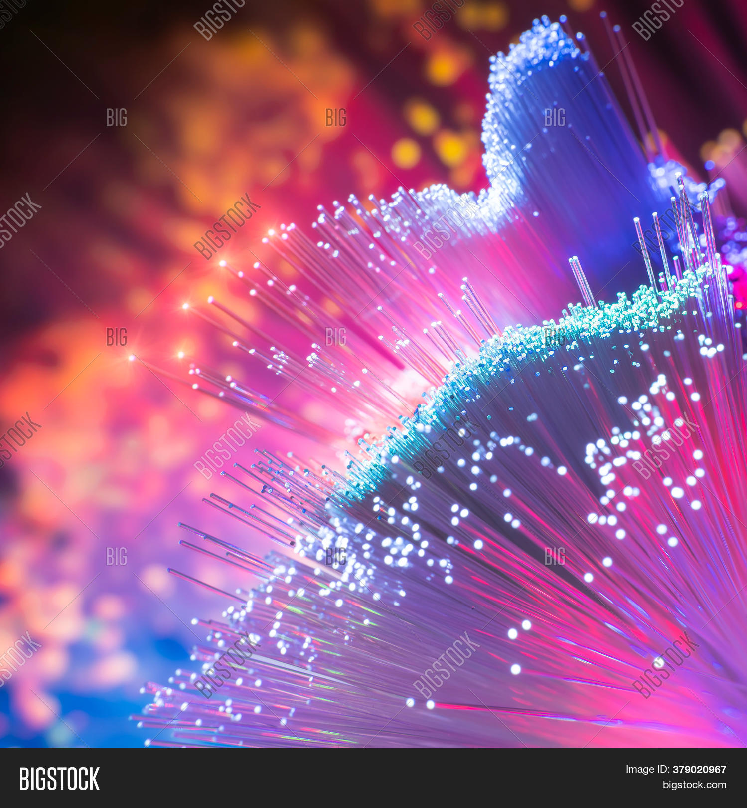 Fiber Optics Network Image & Photo (Free Trial) | Bigstock