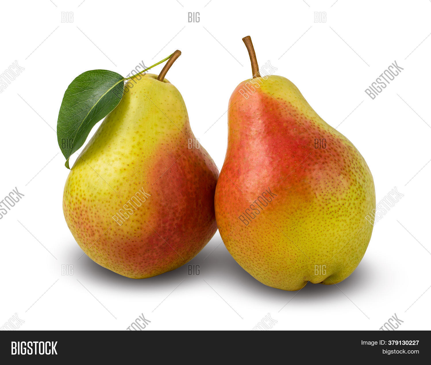 Two Red Yellow Pears Image & Photo (Free Trial) | Bigstock