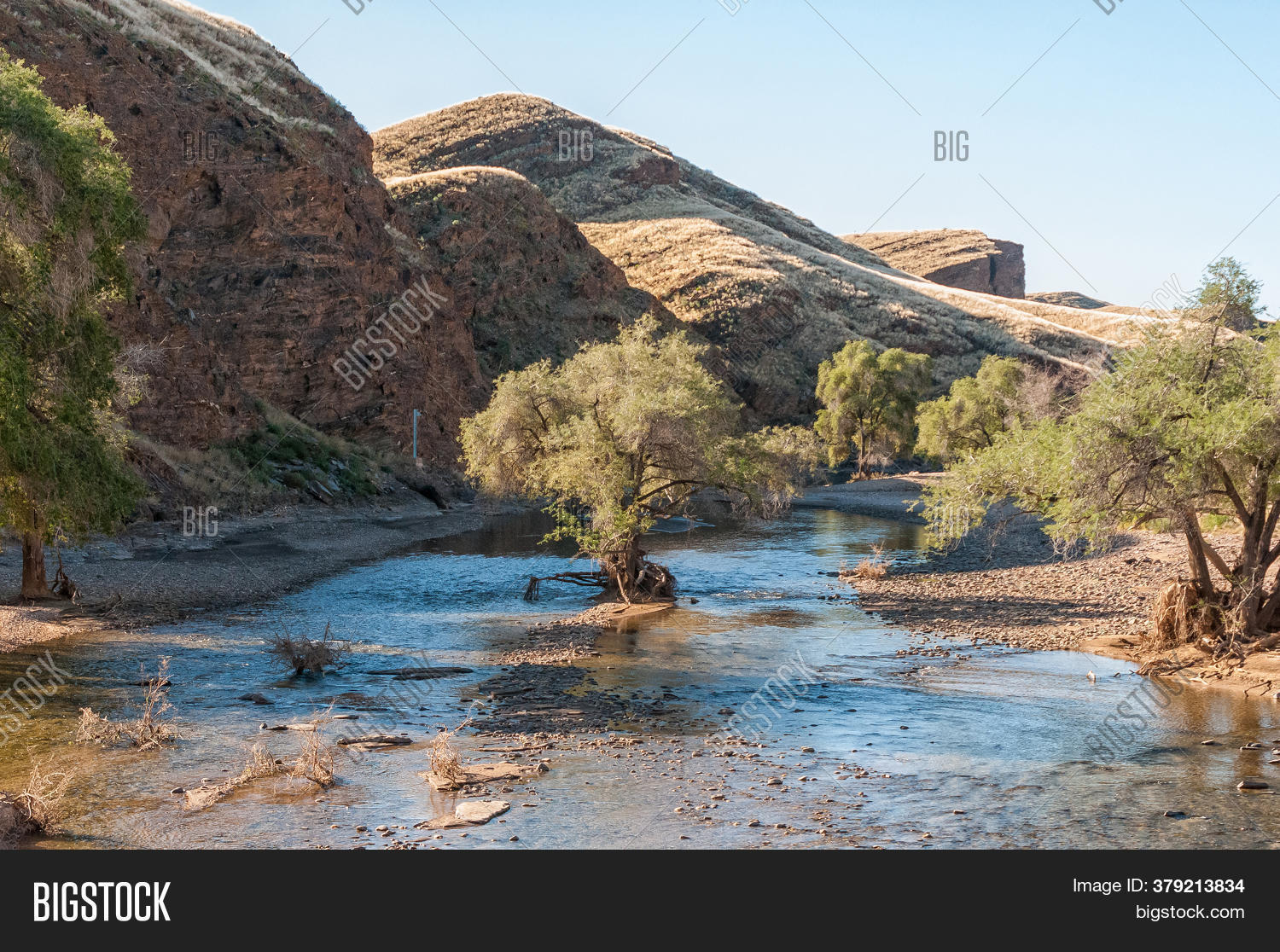 Rare Sight - Kuiseb Image & Photo (Free Trial) | Bigstock