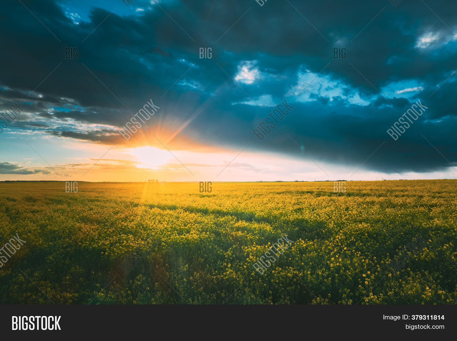 Sunshine During Sunset Image & Photo (Free Trial) | Bigstock
