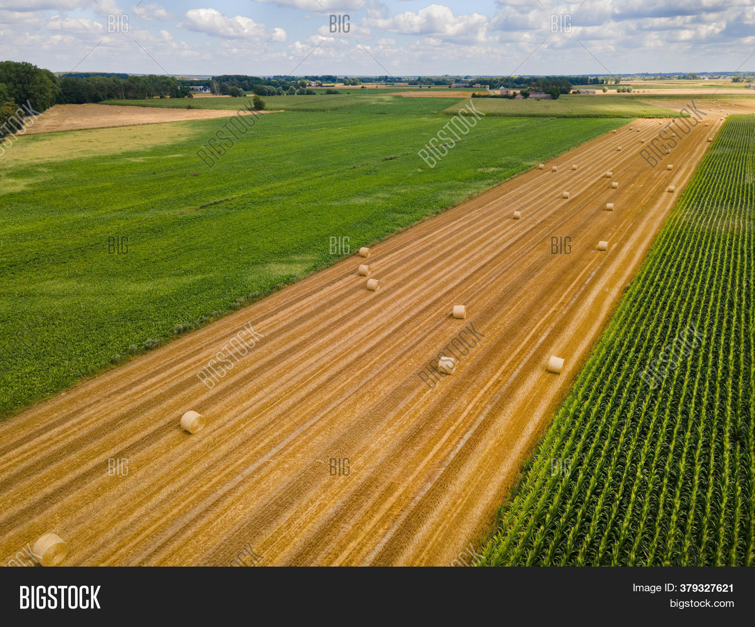Aerial Top View Image & Photo (Free Trial) | Bigstock