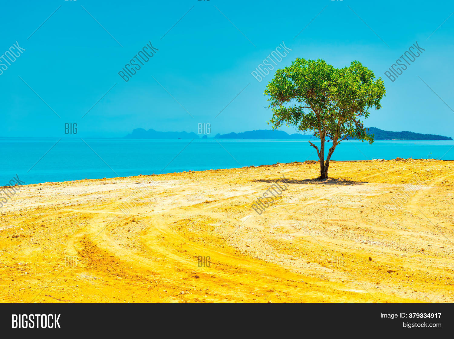 Green Tree Desert Image & Photo (Free Trial) | Bigstock