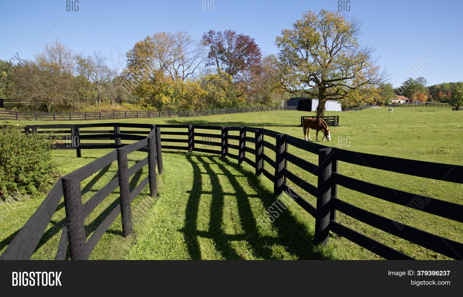 Fence Line Pasture Image & Photo (Free Trial) | Bigstock