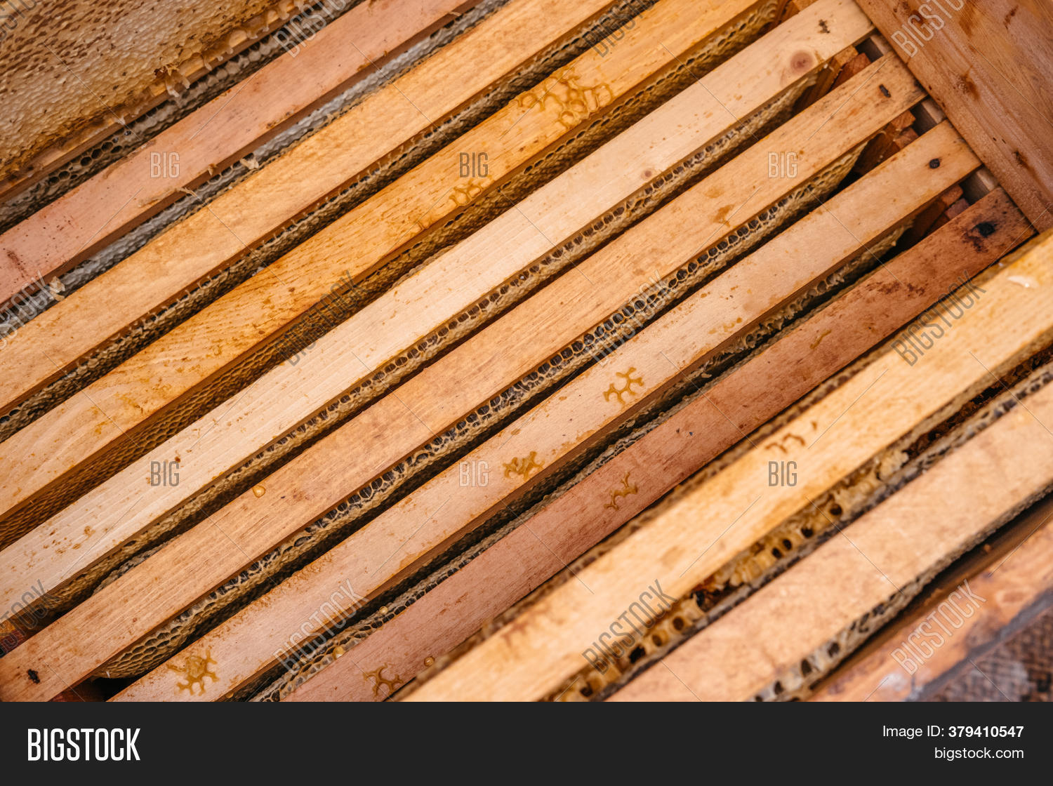 Frame Honeycomb. Honey Image & Photo (Free Trial) | Bigstock